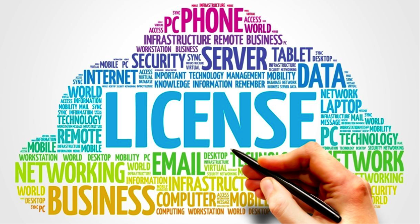 SUBSCRIPTION VS PERPETUAL LICENSE WHICH IS RIGHT FOR YOU DRMcNatty Associates