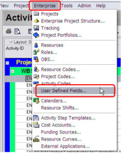 Adding user defined fields - DRMcNatty & Associates