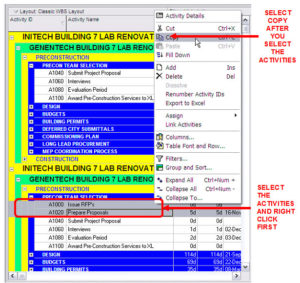 Copying Activities Between Projects - DRMcNatty & Associates