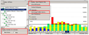 Understanding Primavera P6 Histograms - DRMcNatty & Associates