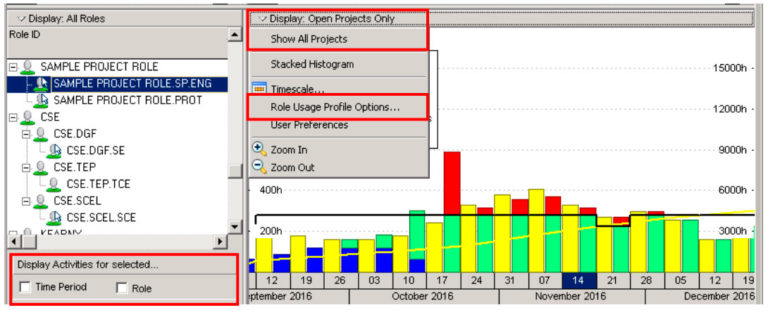 Understanding Primavera P6 Histograms - DRMcNatty & Associates