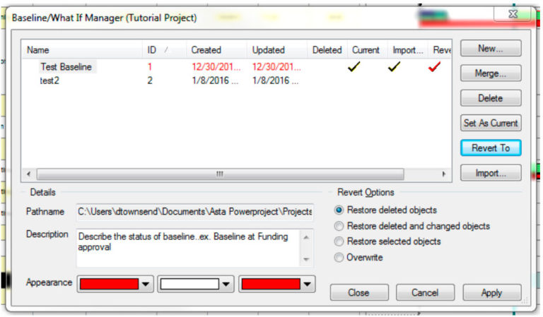 Updating Progress in ASTA Powerproject - DRMcNatty & Associates