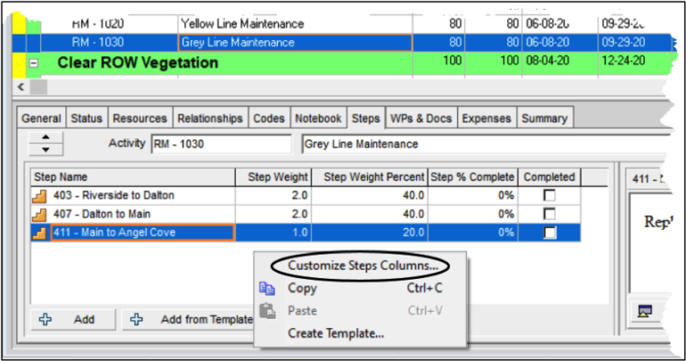 Using Steps to Calculate % Complete in P6 - DRMcNatty & Associates