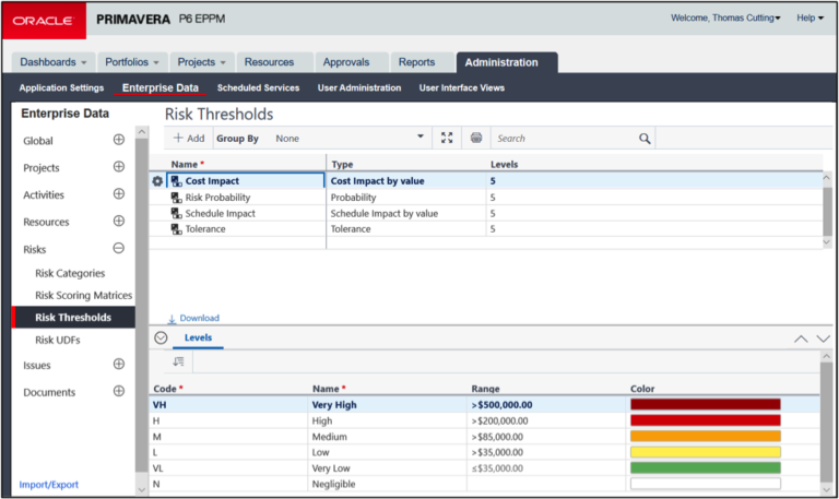 MANAGING RISKS IN P6 EPPM - DRMcNatty & Associates