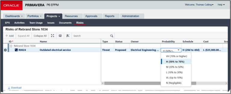 MANAGING RISKS IN P6 EPPM - DRMcNatty & Associates