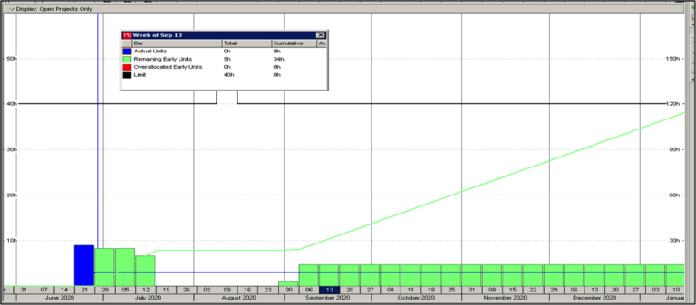 FORECASTING MAN-HOURS AND FTE TRACKING IN P6 - DRMcNatty & Associates