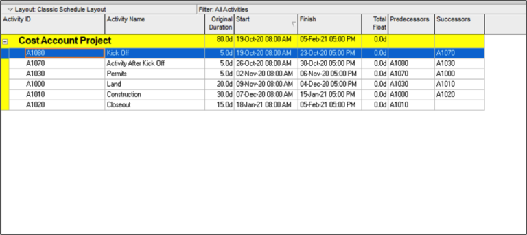 USING ACTIVITY IDS TO THE P6 USER’S ADVANTAGE - DRMcNatty & Associates