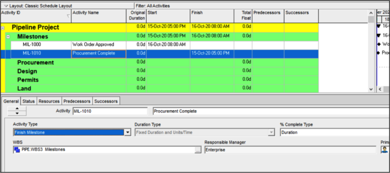 USING ACTIVITY IDS TO THE P6 USER’S ADVANTAGE - DRMcNatty & Associates